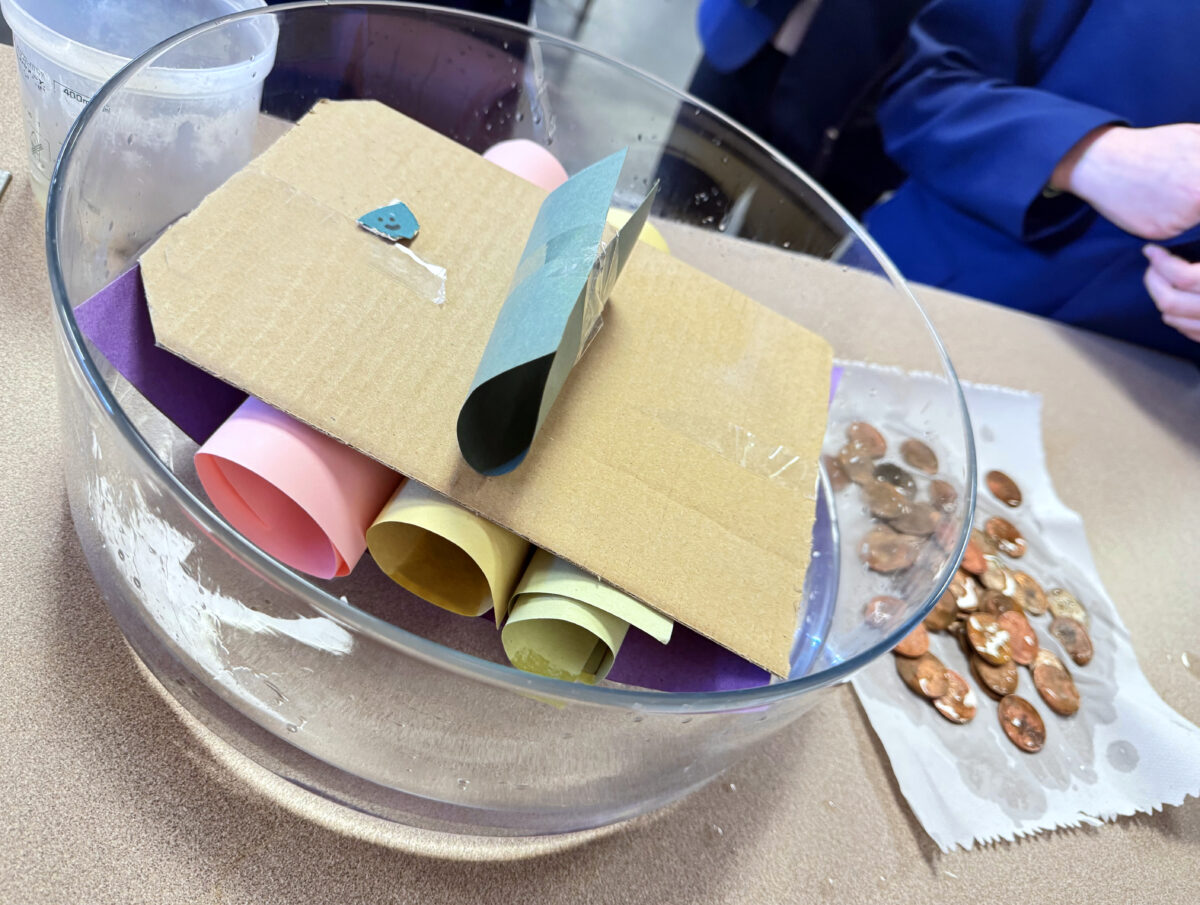 Science club: raft-building challenge - Queen Elizabeth’s Academy