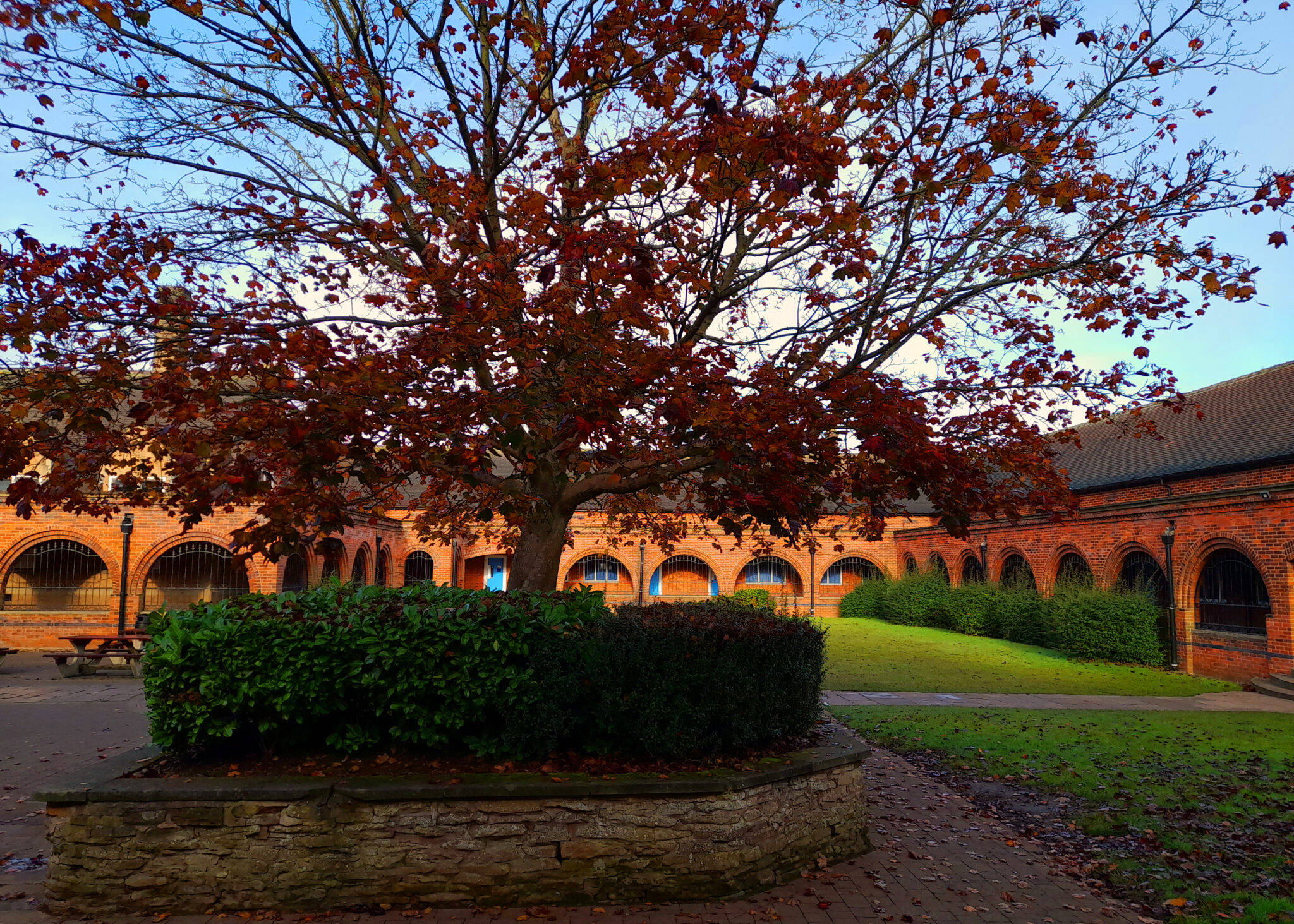 Home - Queen Elizabeth’s Academy